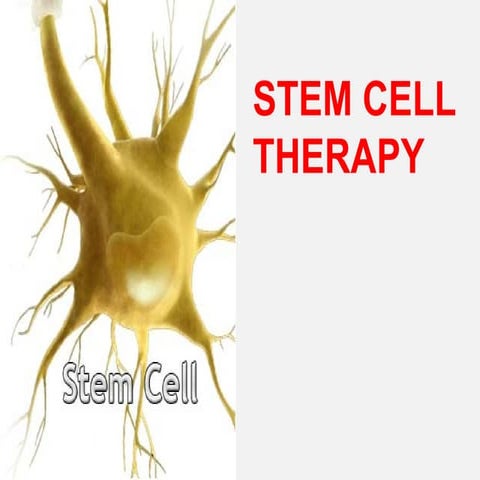Stem cell therapy | PPT | Endocrine and Metabolic Diseases | Diseases ...