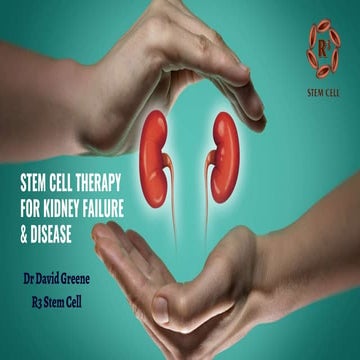 Stem cell Therapy For Kidney Failure & Disease Dr David Greene .pptx