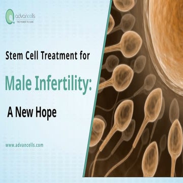 Stem Cell Treatment for Male Infertility: A New Hope" | PPT