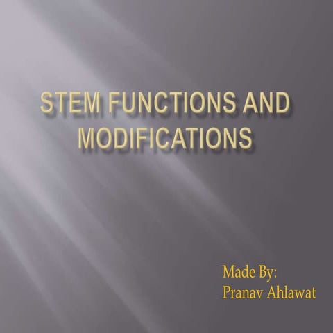 Stem Functions And its modifications | PPTX