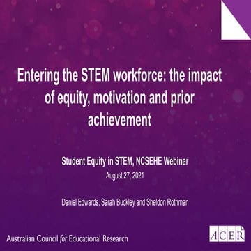 Entering the STEM workforce: The impact of equity, motivation and prior ...