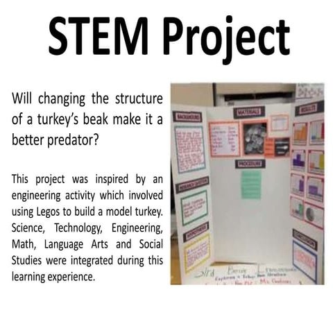 Stem project | PPT
