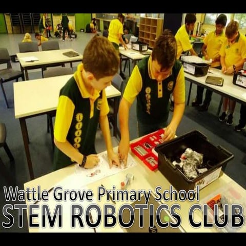 Wattle Grove Primary School - STEM Robotics Club - Week 1 | PPT