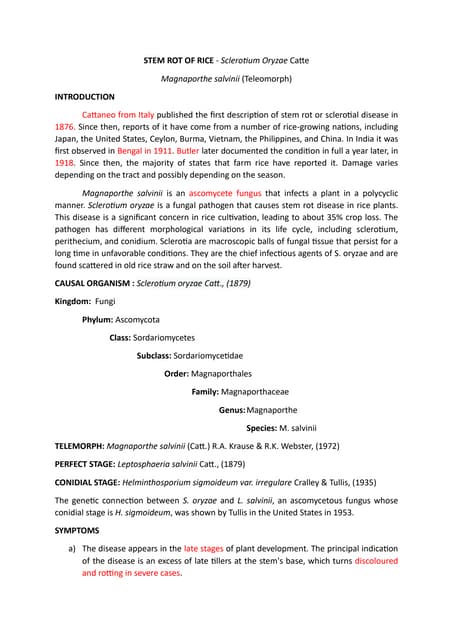 MAJOR RICE DISEASES and economic loss.pptx