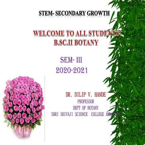 Dermal Tissue System (PLANT) – PPT Overview | PDF