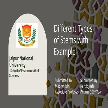 Different Types of Stems with Example ppt | PPTX