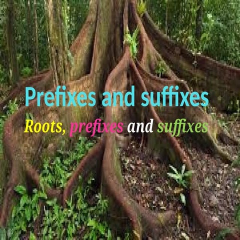 Stems, prefixes and suffixes.pptx 2 | PPTX