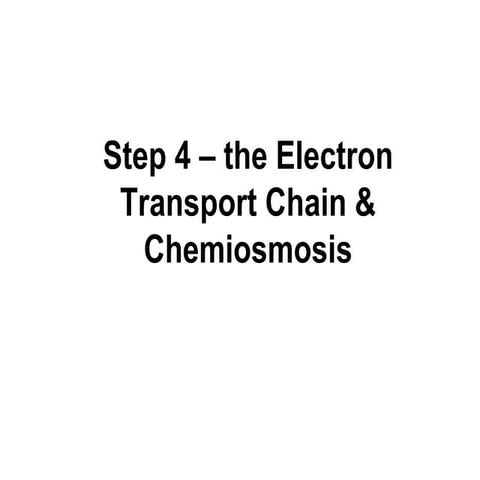 Step 4 – the electron transport chain | PPT
