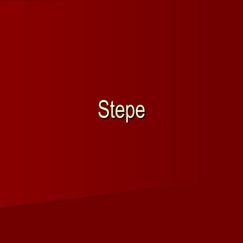 Stepe | PPT