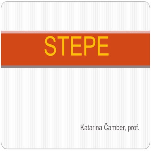 Stepe | PPTX