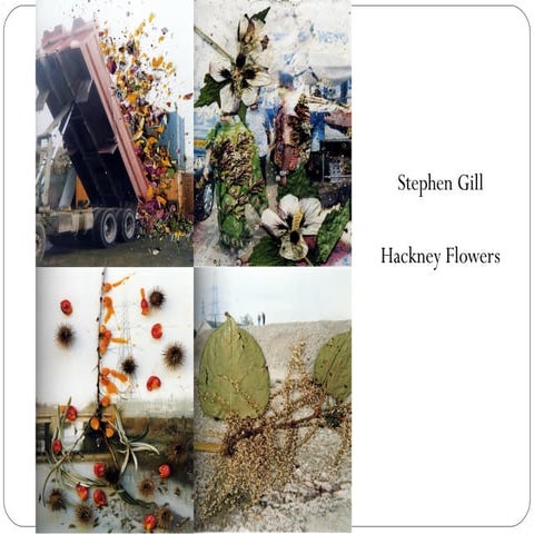 Stephen Gill | PPT | Photography | Arts and Crafts