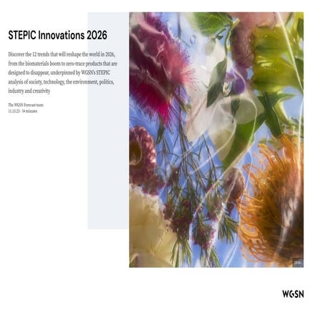 STEPIC Innovations 2026 futurism publications | PDF