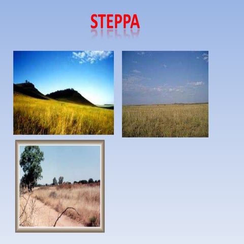 Steppa | PPTX