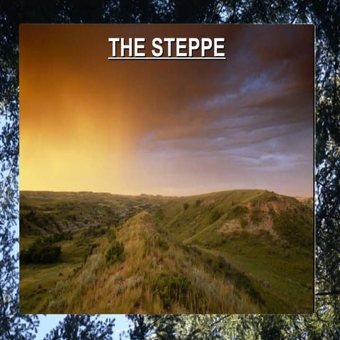 Steppe Biome | PDF
