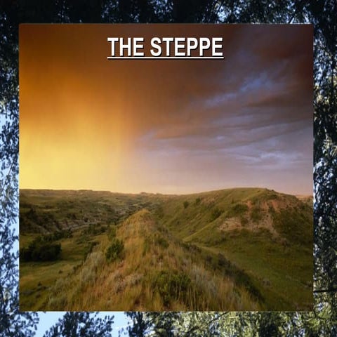 Steppe Biome Pdf