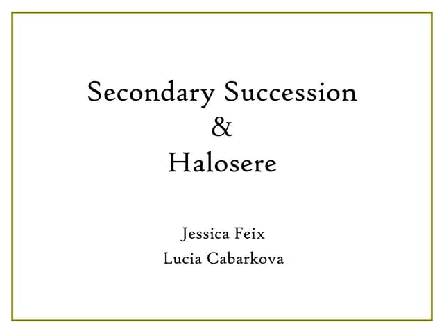 14 Development Definitions And Measuring Development | PPT