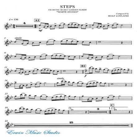 Steps violin | PDF