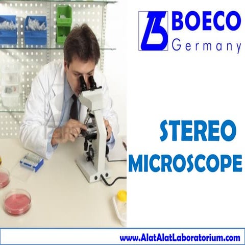 Stereo Microscope Boeco Binokular | PPT