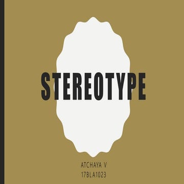 Stereotype | PPT