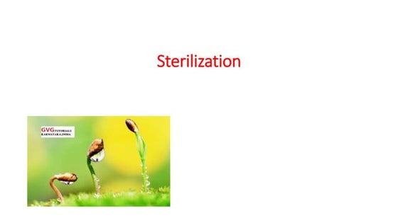 Sterilization | PPTX