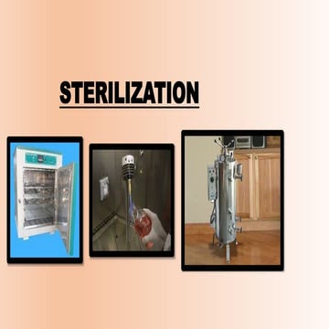 Sterilization | PPT