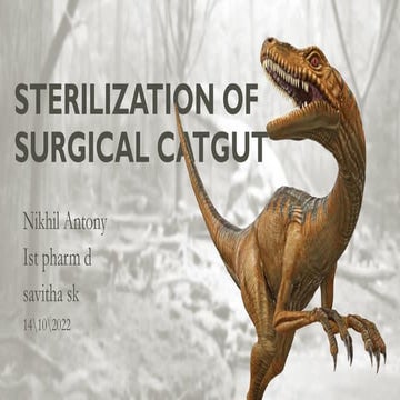 Surgical catguts | PPTX