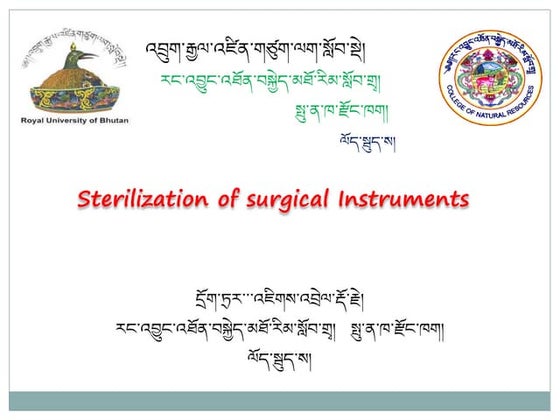 Surgical Instrument Sterilization | PDF | First Aid | Injuries