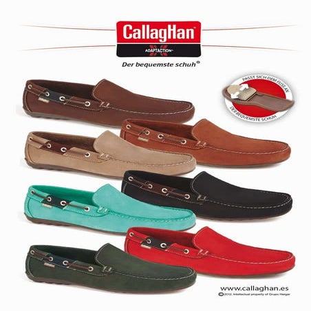 Sterling by Callaghan equipped with Adapt-action System | PDF