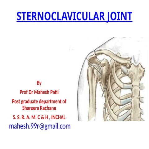 STERNOCLAVICULAR JOINT @123457994)44)4+4(!_ | PPTX