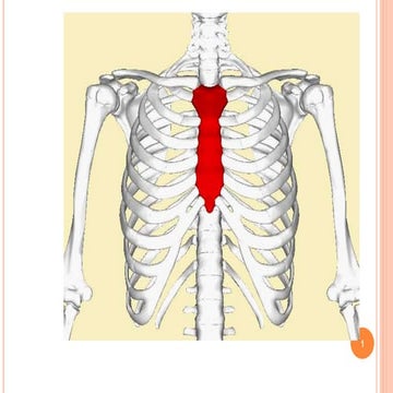 Sternum and breast bone | PPTX