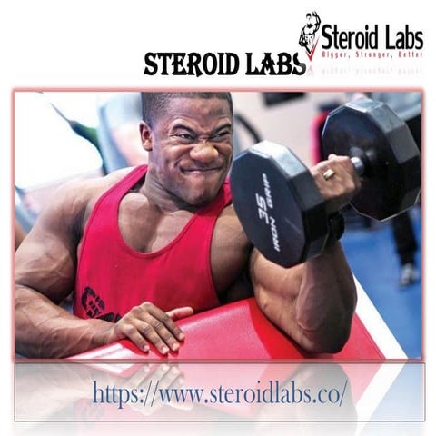 Everything you need to know about dianabol (methandrostenolone) powder ...