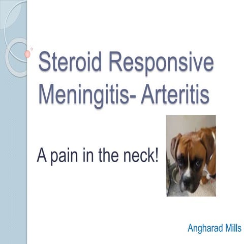 Is Meningitis In Dogs Genetic