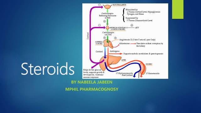 Biosynthesis of steroids | PPT | Hormonal Disorders | Endocrine and Metabolic Diseases