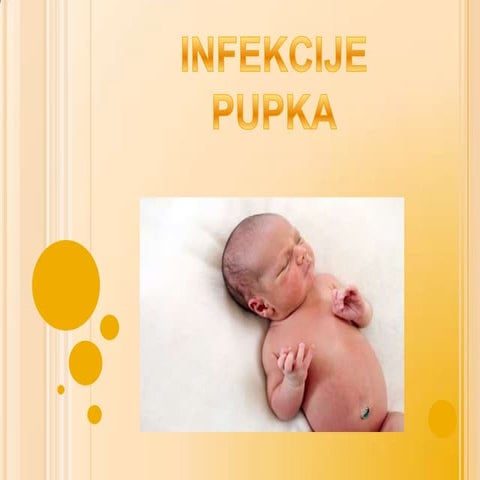 Stevanovic jelena iv6 | PPTX