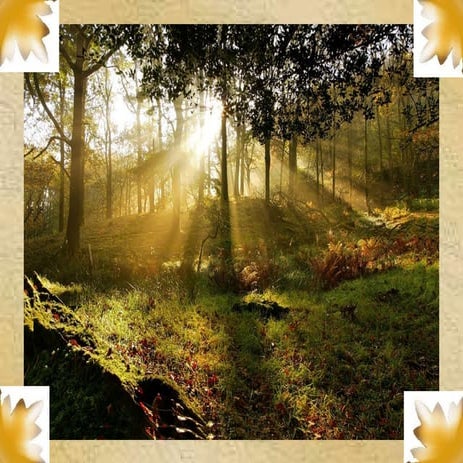 Steve Highfield_ Amazing Photography | PPS