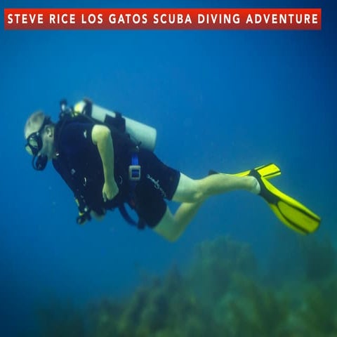 Steve Rice Los Gatos Scuba Dives | PDF