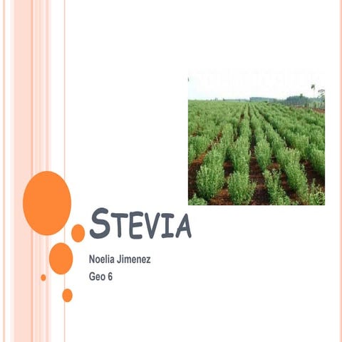 Stevia | PPTX