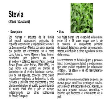 Stevia | PPTX
