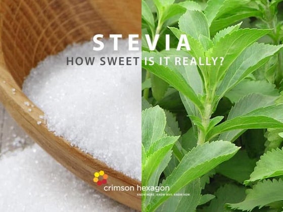 Holiday Eggnog Sweetened with Stevia | PDF