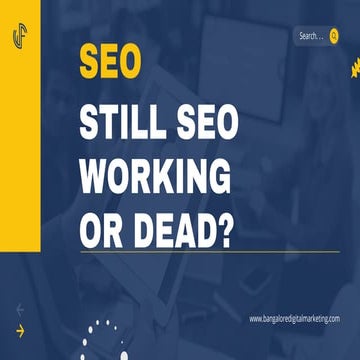 still seo working or dead.pdf