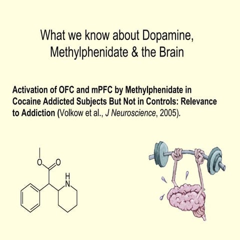 Stimulant Drugs & the Brain | PPT