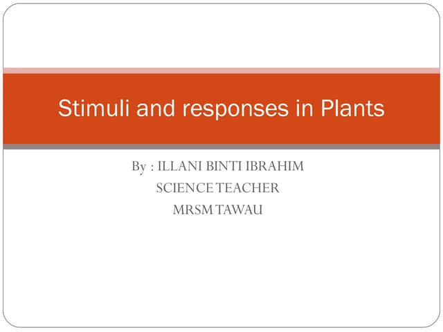 Stimulus and Response Worksheet 2 with Answers | PDF