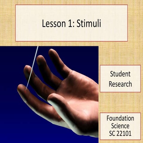 Stimuli lesson 1 | PPTX