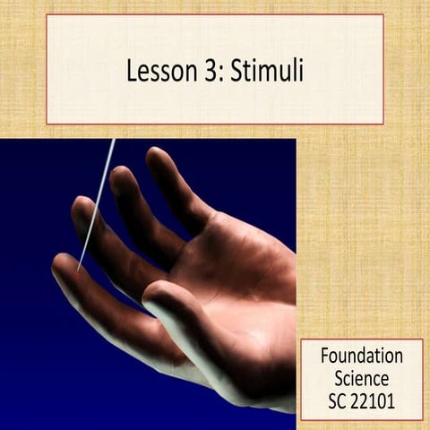 Stimuli lesson 3 | PPTX