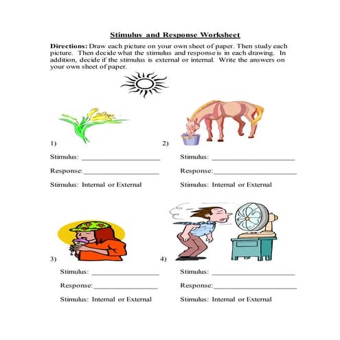 Stimulus and Response Worksheet | DOCX