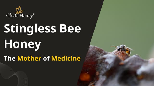 Rare and Unique Single Hive Honey form Wild Honey Hunters | PPTX