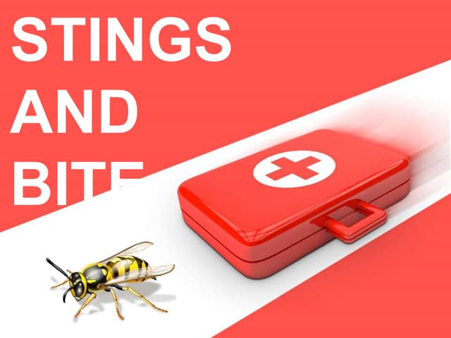 Things to know about insect bites: an overview | PDF