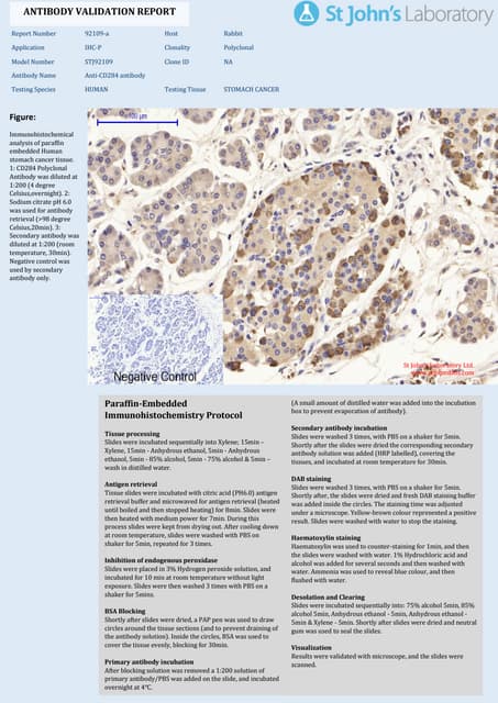 IHC protocols.pptx | Chemistry | Science
