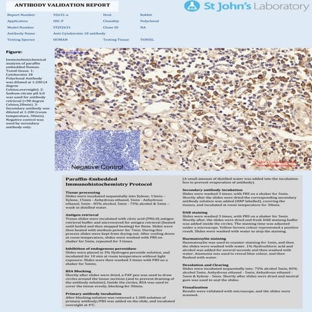 Immunohistochemistry Antibody Validation Report for Anti-Cytokeratin 18 ...