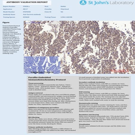 Immunohistochemistry Antibody Validation Report for Anti-Survivin ...
